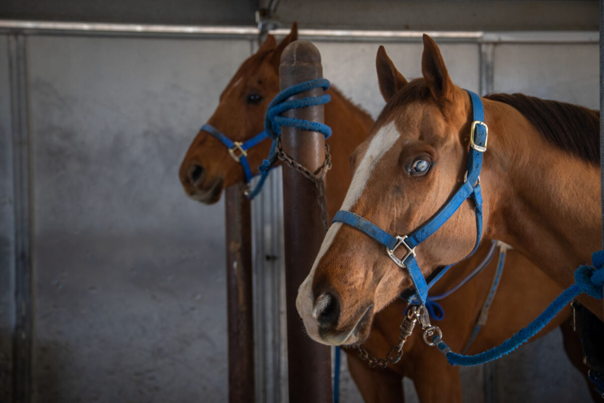 West Warren’s Jordan Hadley carries on family tradition — love of ...